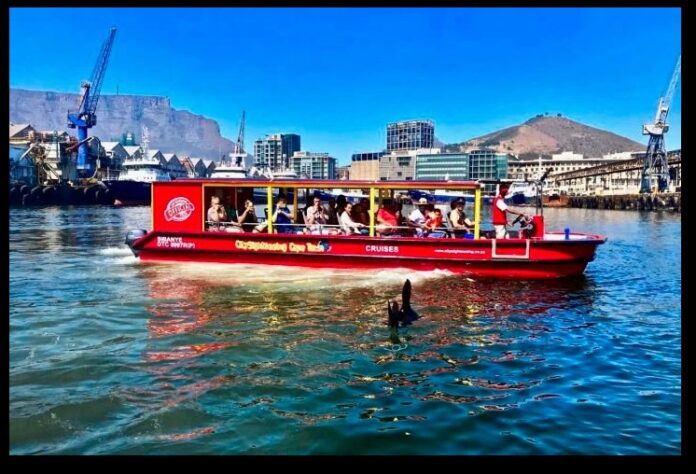 Harbor Tours for Sightseeing & Adventure Around the World